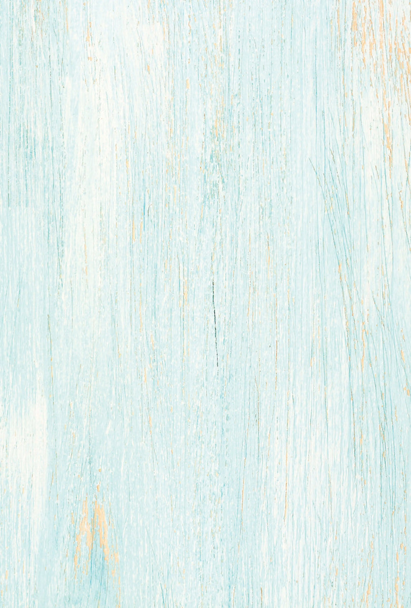 Blue Rustic | Food & Product Photography Backdrop | Best Ever Backdrop ...