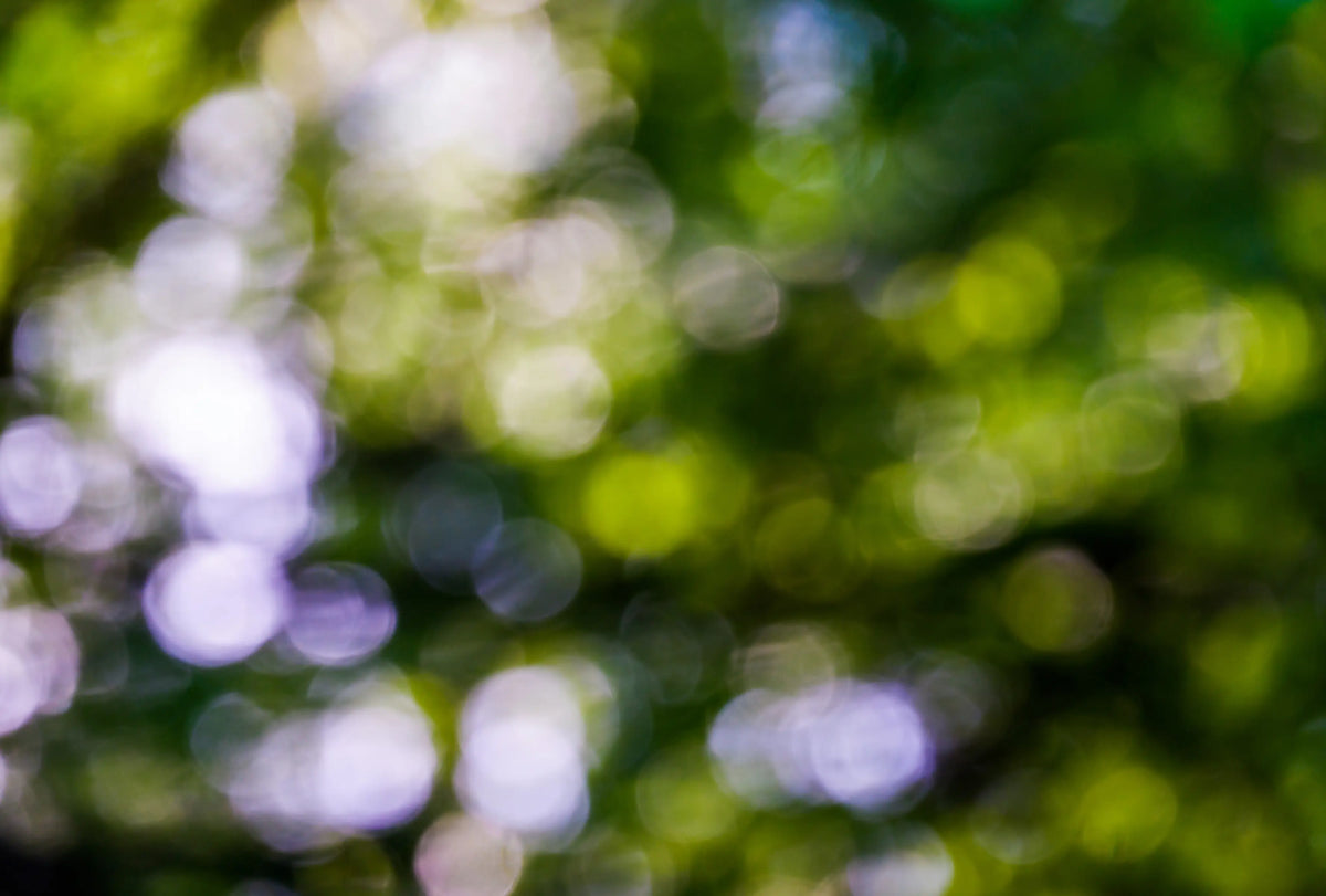 Bokeh Photography Backdrops | Vinyl & Rigid Backdrops for Photography ...