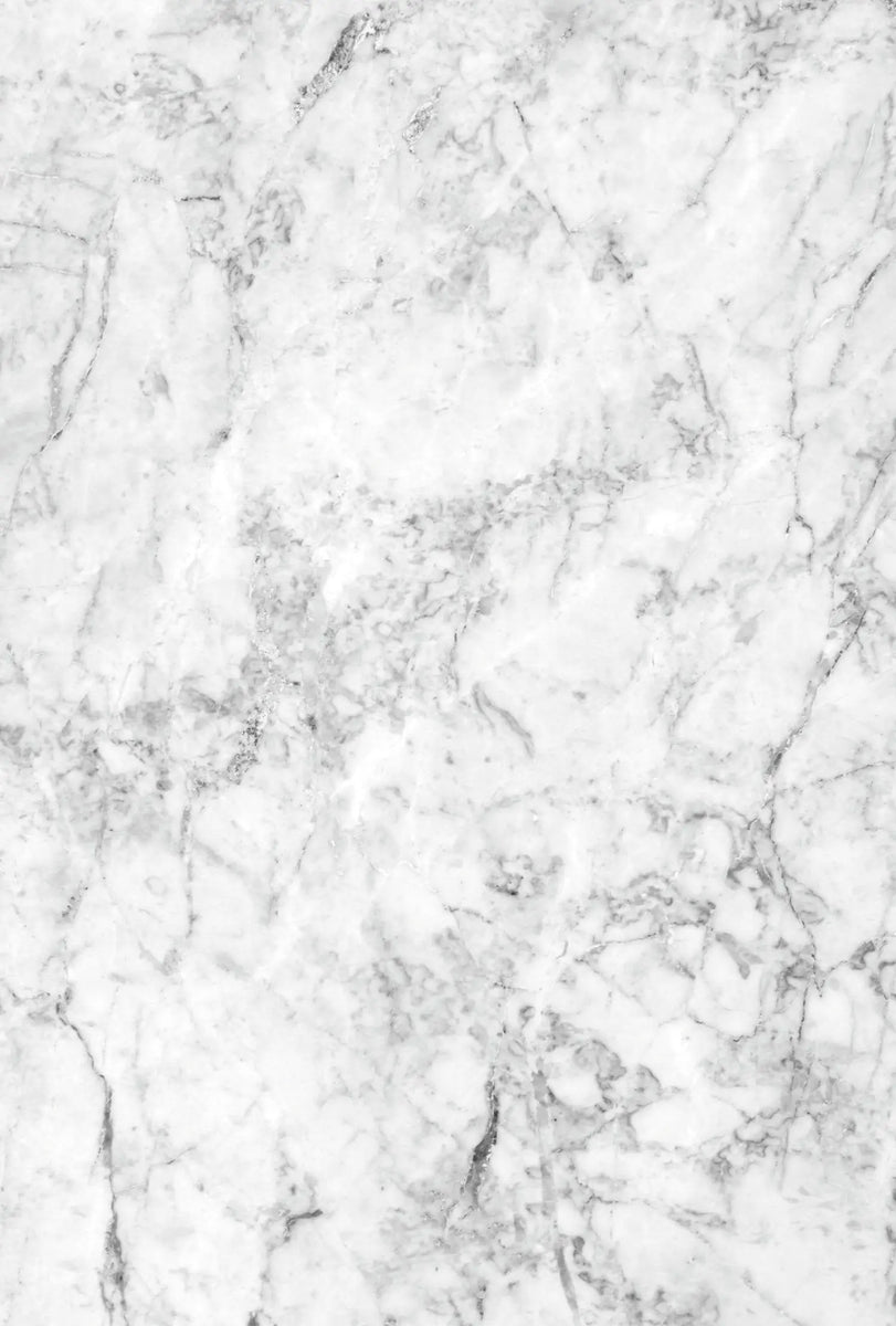White Marble Backdrop | Photography Surfaces | Best Ever Backdrops